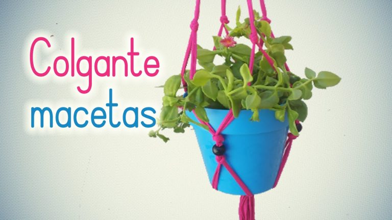 Cómo hacer una maceta colgante fácil [Actualizado 2026]